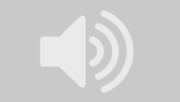 audioplaceholder – Cursos Acnovo